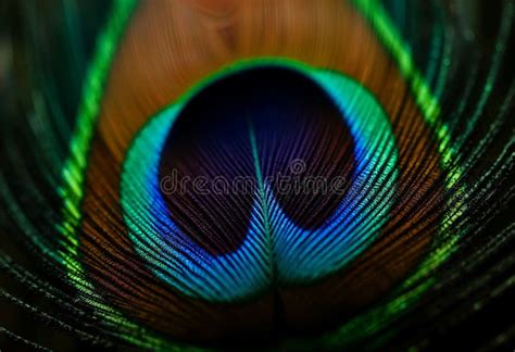 Ai Generated Illustration Of A Vibrant Peacock Feather Stock Illustration Illustration Of