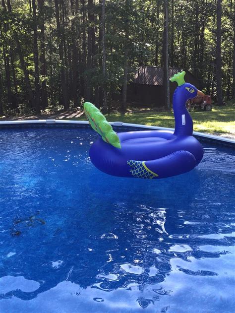 Peacock Float 💕 Float Pool Float Outdoor
