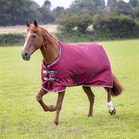 Shires Tempest Original 200 Turnout Rug Maroon For The Horse From
