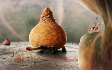 Botanicula Characters Sprouts Wallpaper Hd Games 4k Wallpapers