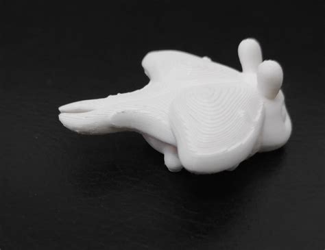 🗿 Luna Moth・ 3d File For ・cults