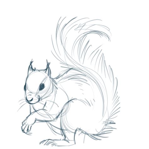 Squirell By Jonnydoodle On Deviantart