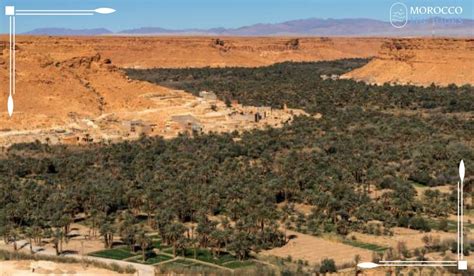 Tafilalet Oasis In Morocco Hidden Desert Gem