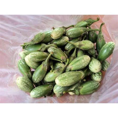 Jual Terong Hijau 250 Gr Terong Lonjong Kecil Sayuran Segar