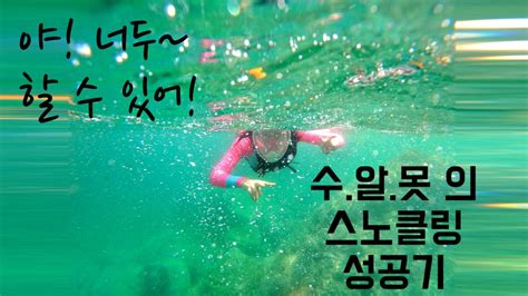 장호항 스노클링 여행 I 수영 못하는 초보가 스노쿨링 성공 하는 방법 Youtube