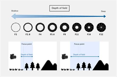 What is Focal Length? Understanding the Basics of Angle of View and Focal Length | TAMRON Europe ...