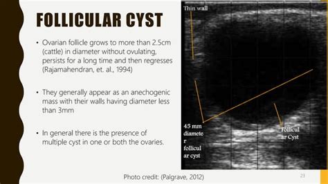 Transrectal Ultrasonography In Reproductive Management Of Cattle Pptx
