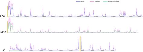 Map Of The Srna Alignment On The Sex Specific Regions Of The Papaya Sex Download Scientific