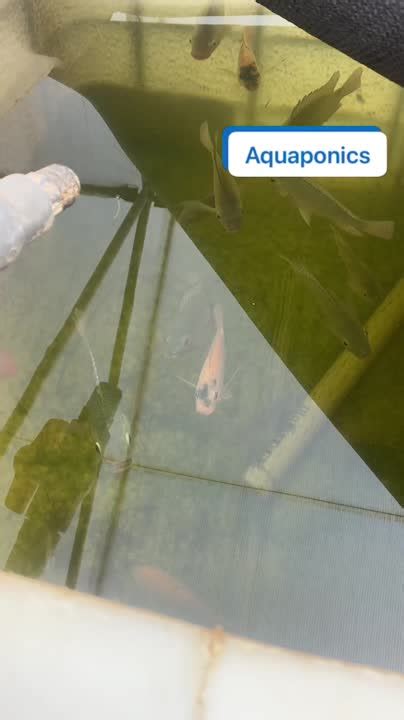 Nathan Mashiane On Linkedin A Fun And Educational Experience Was