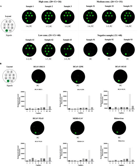 Rapid And Accurate Detection Of Sars Cov 2 Using An Ipad Controlled