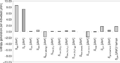 Influence Of Different Parameters On Entropy Generation In A Human Body Download Scientific