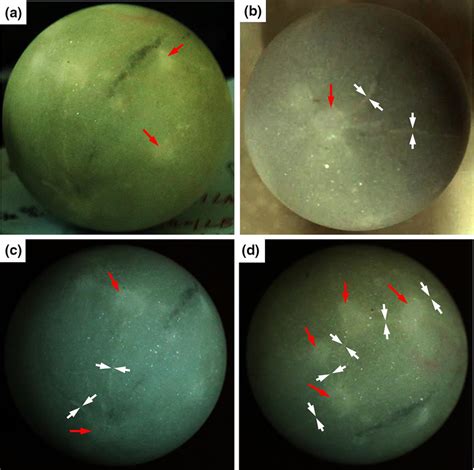 Typical Fracture Phases Observed During The Drop Tests Single Red Download Scientific Diagram