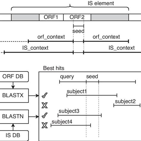 Workflow Of Digis Digis Components And Workflow Grey Rectangles
