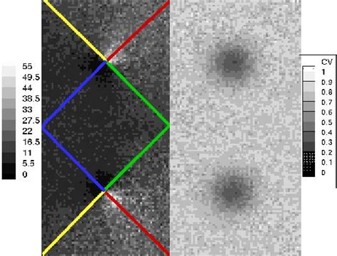 Modeling Of Neuronal Activity In The Visual Cortex