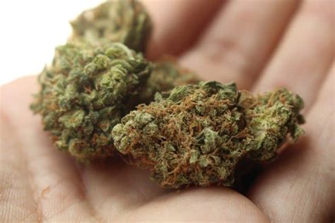 THC (Tetrahydrocannabinol) Wirkung ☀