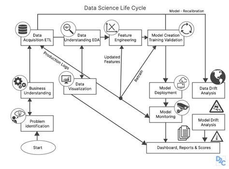 Research Paper Life Cycle Download Scientific Diagram