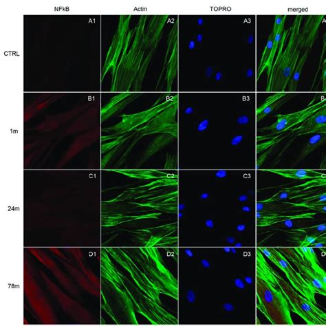 Graph Bars Indicating The Optical Density Obtained By Means Of Mts