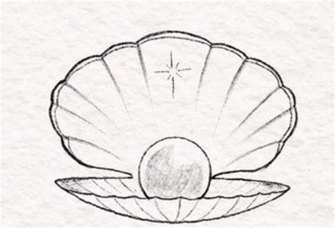 Pin By Sigourney On Tattoo For Claire Shell Drawing Book Art Drawings Seashell Drawing
