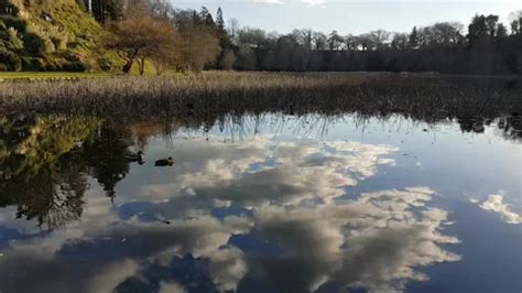 Water Ripple Effect Water Reflection Of Stock Video Pond5