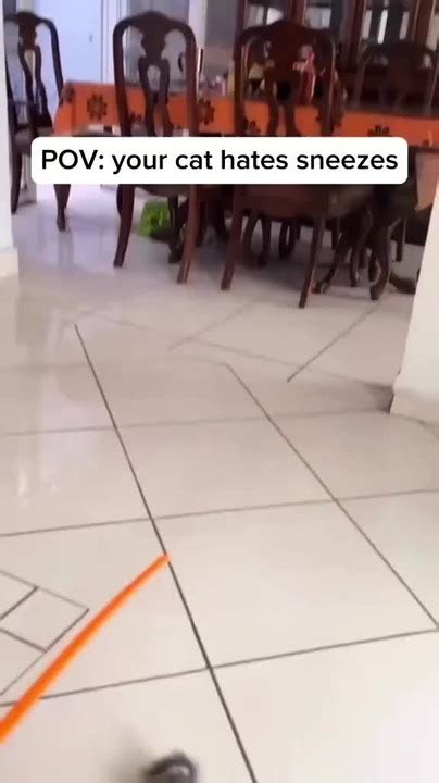 Gottem Meme By Aldea Memedroid