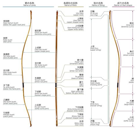 Types Of Japanese Archery Bows At Arthur Snipes Blog