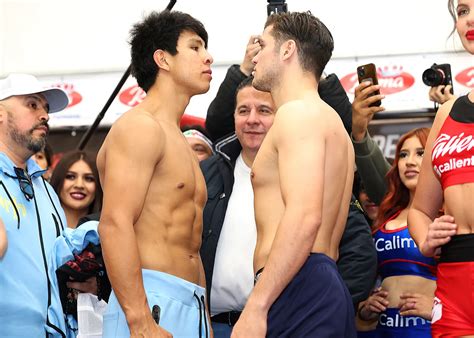 The French Connection Bruno Surace Scores One Punch Ko Over Jaime