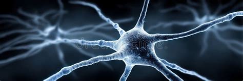 Microscopic Neuron Network Detailed Closeup Of A Neuron Network Showcasing Intricate Neural