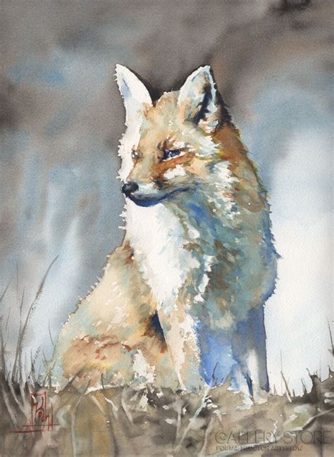 Akwarela Młody Lis Klaudiusz Pohl Gallerystore Pl