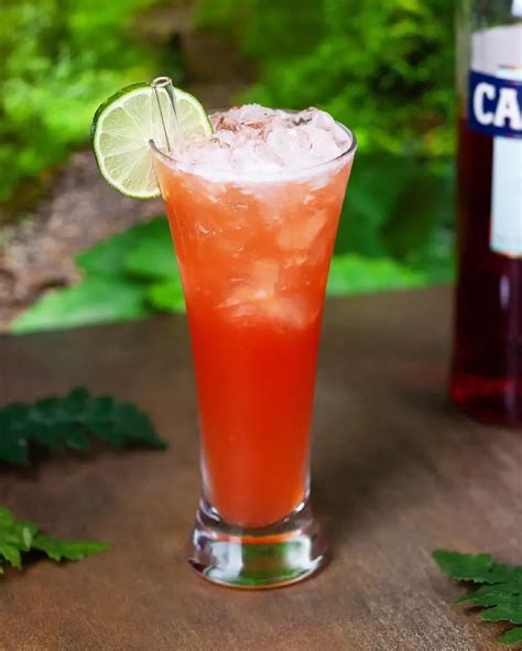 Jungle Bird Cocktail Recipe