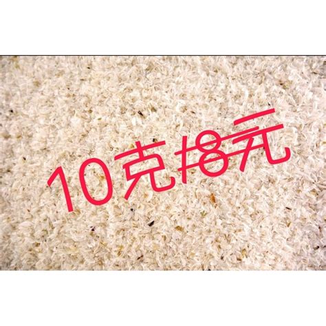 新品上市 試吃優惠 洋車前子 洋車前子粉 洋車前子殼 洋車前子麩片 檢驗合格請安心食用 蝦皮購物