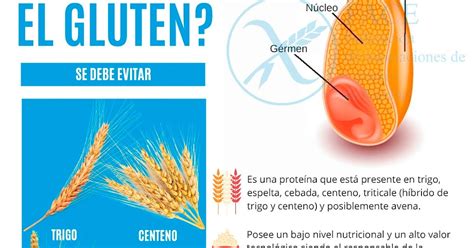 El Gluten
