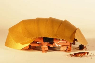 Cockroaches Inspire Life Saving Robots Uc Berkeley Ieor Department
