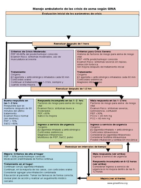 Manejo De Crisis Asmática Según Gina 2024 Pdf Asma Rtt