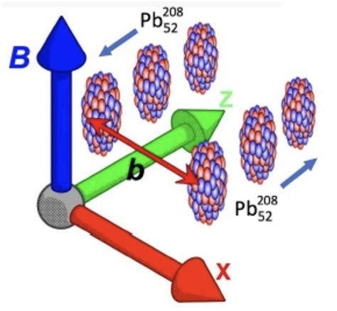 Peripheral Pb Pb Heavy Ion Collisions Produce Strong Magnetic Fields