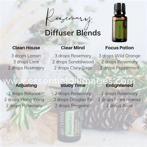 Rosemary Diffuser Dōterra Blend Essential Oil Diffuser Blends Recipes