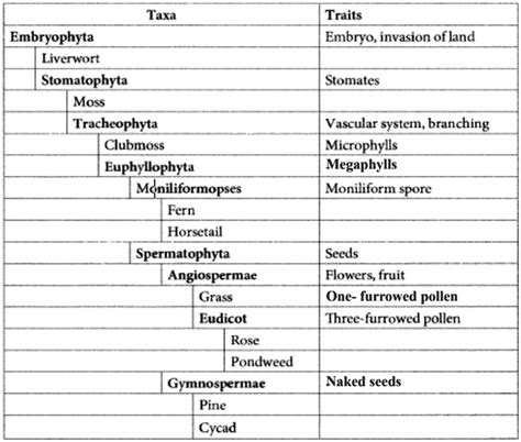 Solved The Table Shows A Classification Of The Land Plants In Indented Form The Terminal Taxa