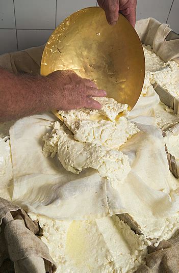 Home Strachítunt Dop