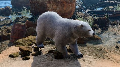 Bg3 Wild Shape Forms List For Druid Baldurs Gate 3