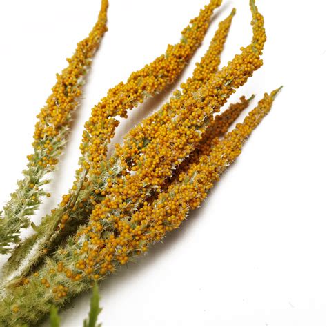 180cm Artificial Hanging Trailing Garland Amaranthus Plant Leaf