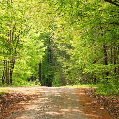 A Single Sex School Or A Mixed School Schoolsmith