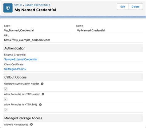 Named Credentials As Callout Endpoints Apex Developer Guide