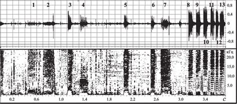 Oscillogram Of Verbal Acoustic Behavior A A Fragment Of Acoustic