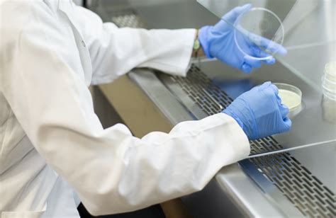 Microbial Sampling Ensure Cleanliness Today Learn More — Kantec