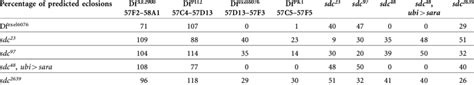Complementation Analysis Of The Syndecan Locus 57e2 6 Download Table
