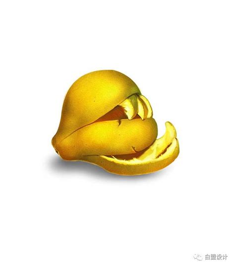 柚子皮手繪簡單教程 每日頭條