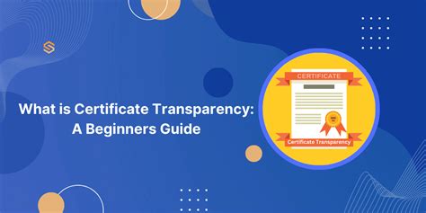 What Is Certificate Transparency A Beginners Guide 2024