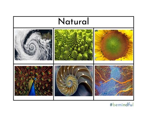 Types Of Fractals Matching Cards Etsy