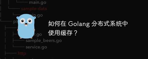 如何在 golang 分布式系统中使用缓存？ 叮当号