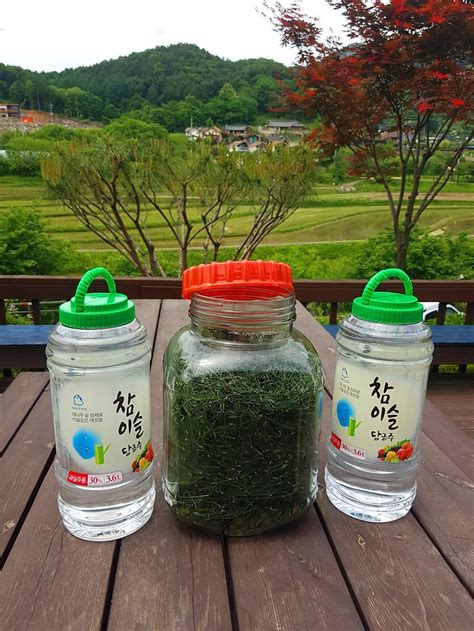 20180527 솔바울 솔잎주