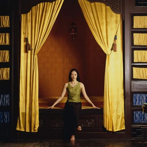 Ziyi Zhang Image